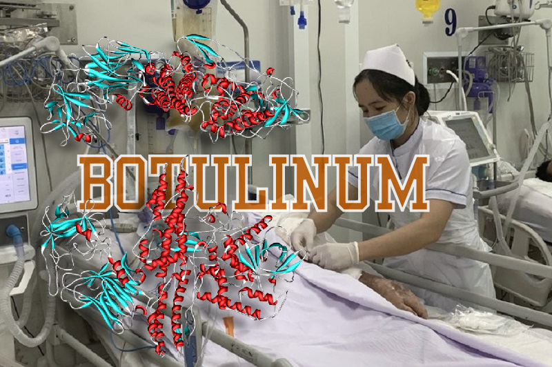 Botulinum Là Gì Và Ngộ độc Botulinum Nguy Hiểm Cỡ Nào